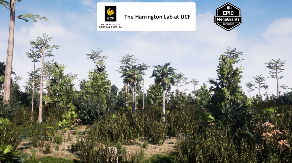 Unreal Engine - Dome Swamp Habitat Brush v5.3 Download For UE (4.26+)