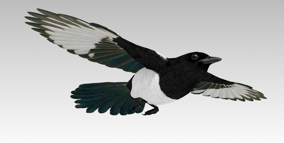 Unreal Engine - Magpie Download v5.1 For UE (4.26, 5.1-5.4)